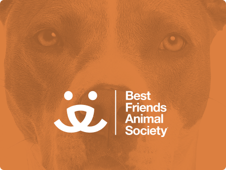 AntStack - Full-Stack Serverless Company